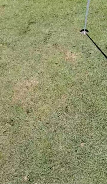 Palmares Golf Course