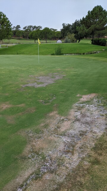 Pinheiros Altos Golf Course