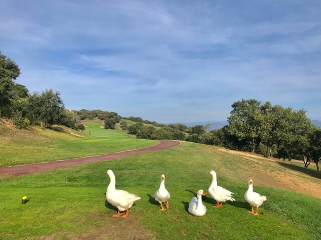 OConnor Golf Course